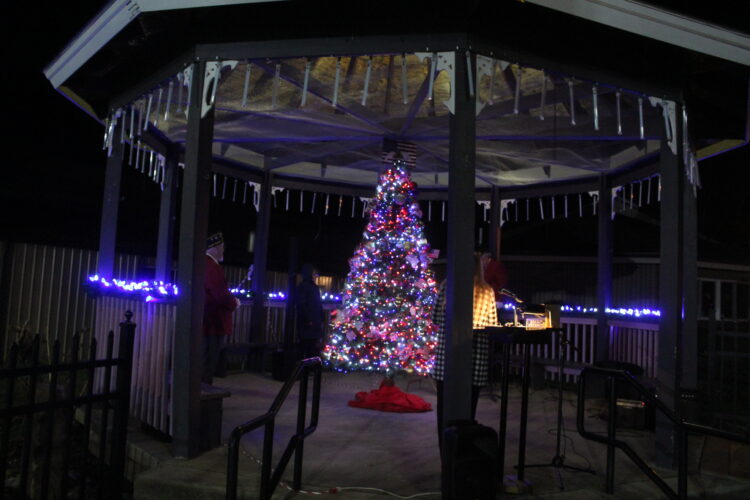 Middlebourne Lights Up the Patriots Tree | News, Sports, Jobs - Tyler ...